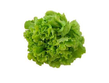 Udaberriko produktuak – Egutegi Gastronomikoa